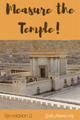 John! Measure That Temple!